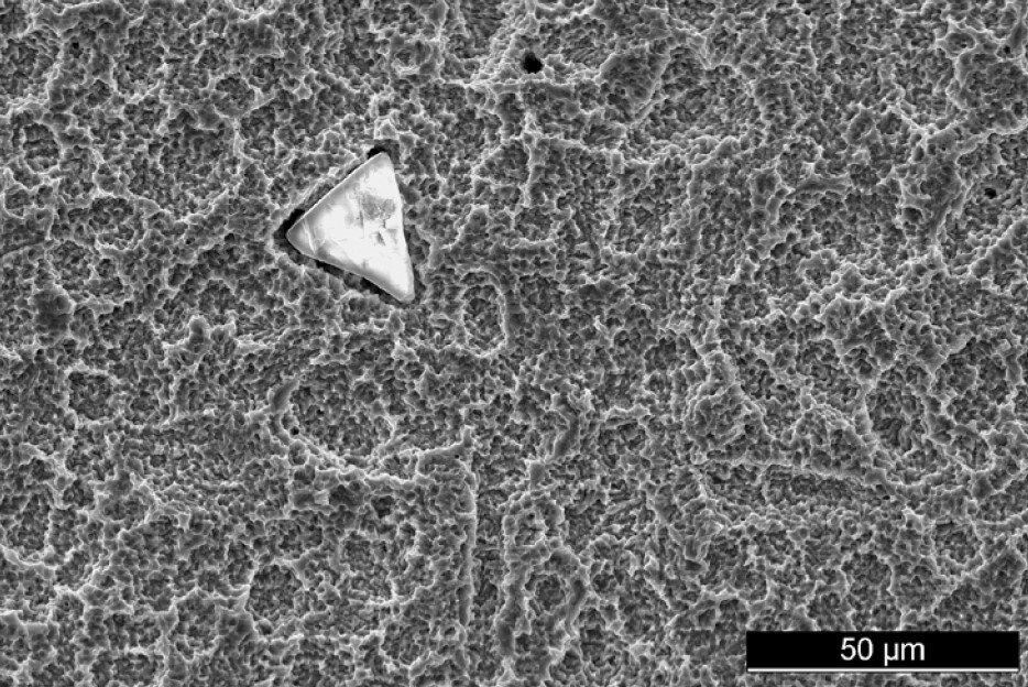 IL-6: Rasterelektronenmikroskop (REM) und Mikrobereichsanalyse (EDX)